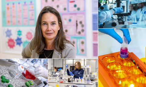 Lab build - Laboratory News